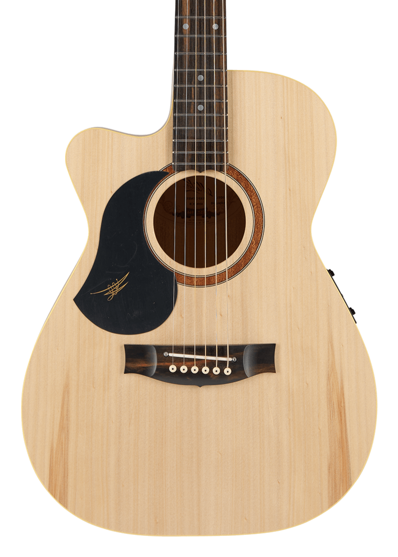 Maton Performer Left Handed Acoustic Electric Guitar w/Case — DWmusic