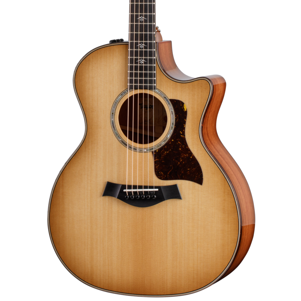 Taylor 514ce Grand Auditorium V-Class Bracing Acoustic Electric Guitar ...