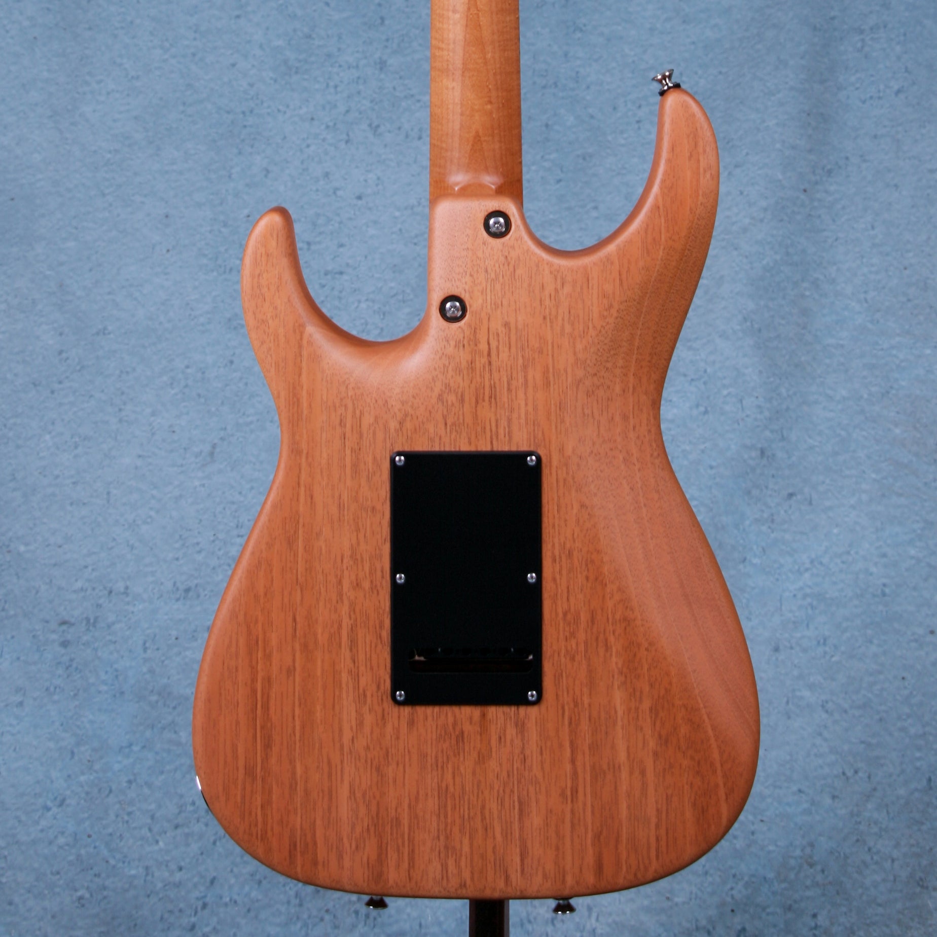 Tom Anderson Guitarworks — DWmusic