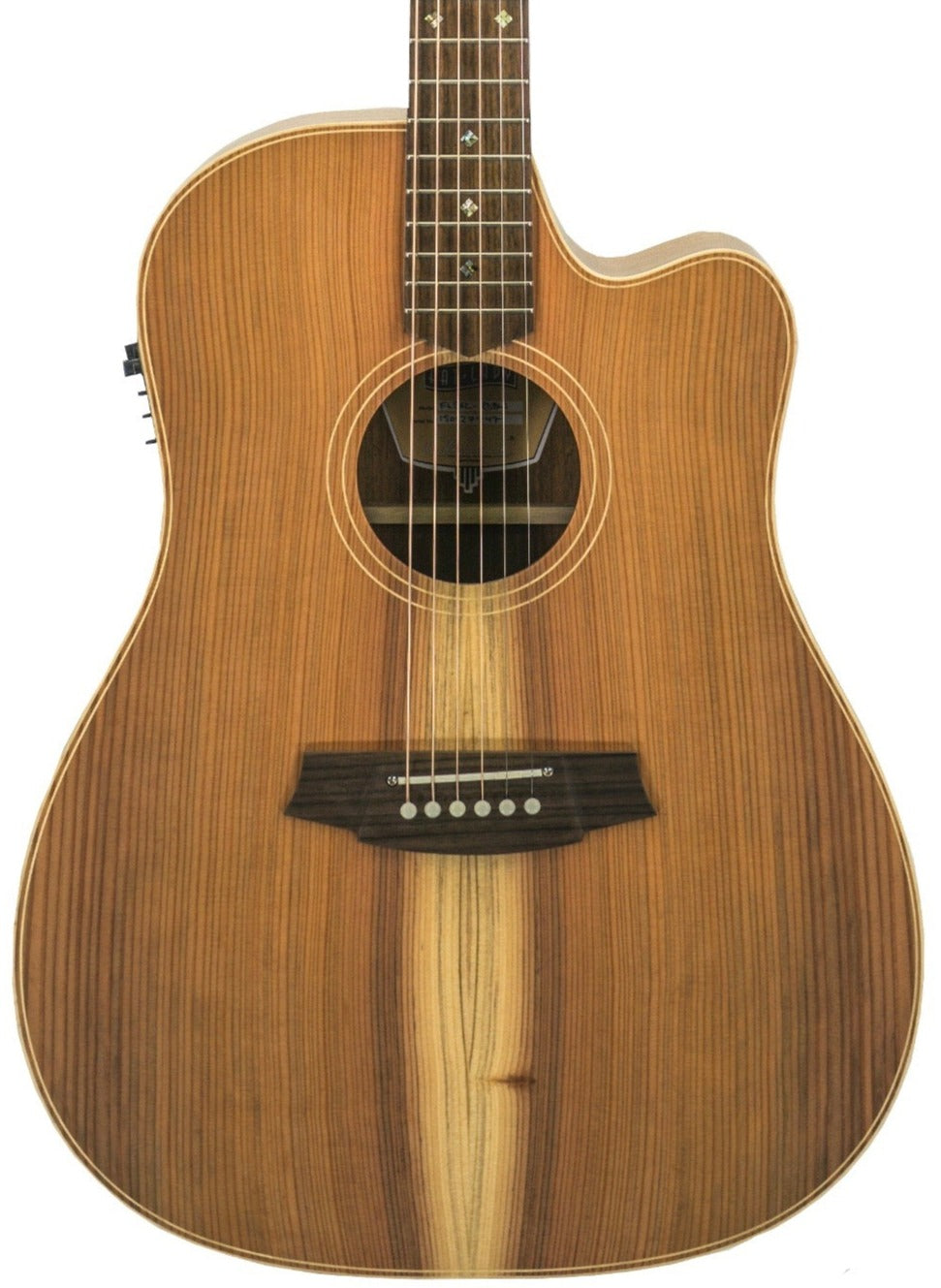 Cole Clark FL2EC-RDBL Dreadnought Acoustic Electric Guitar — DWmusic